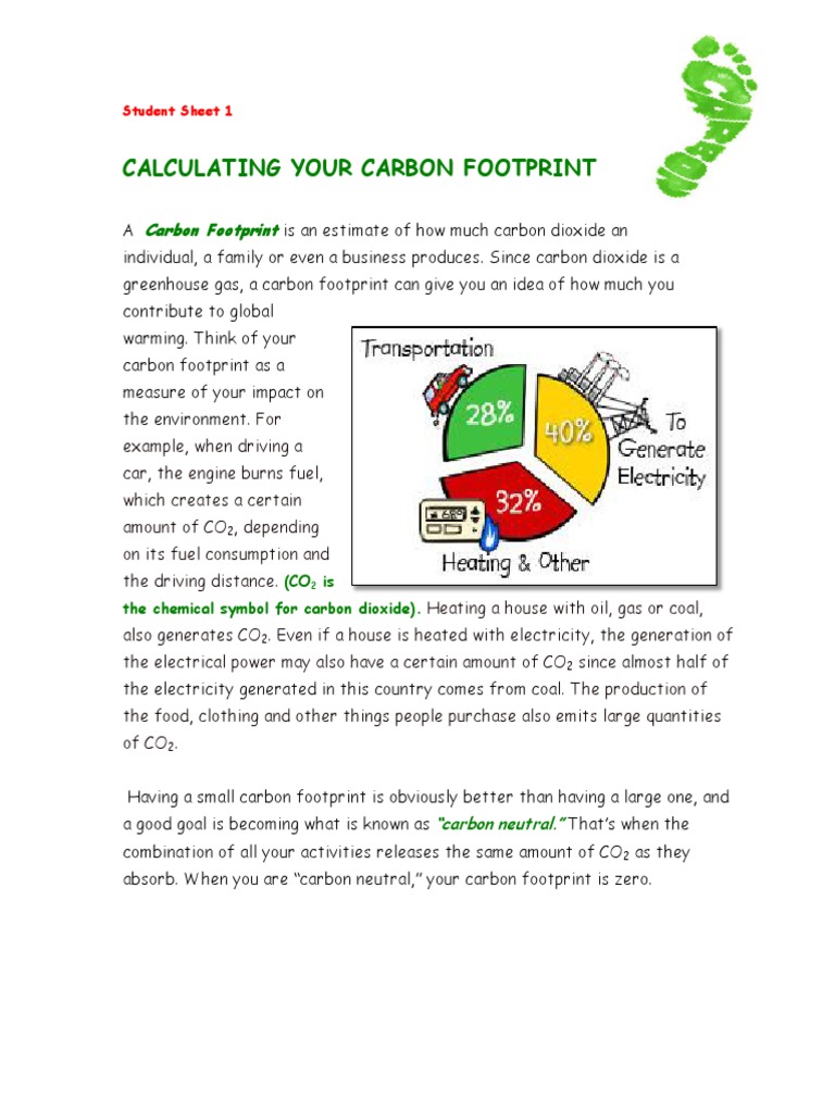 Calculating Your Carbon Footprint | PDF | Carbon Footprint | Carbon Dioxide