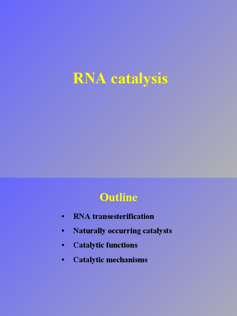 RNA Catalysis | PDF | Rna | Catalysis