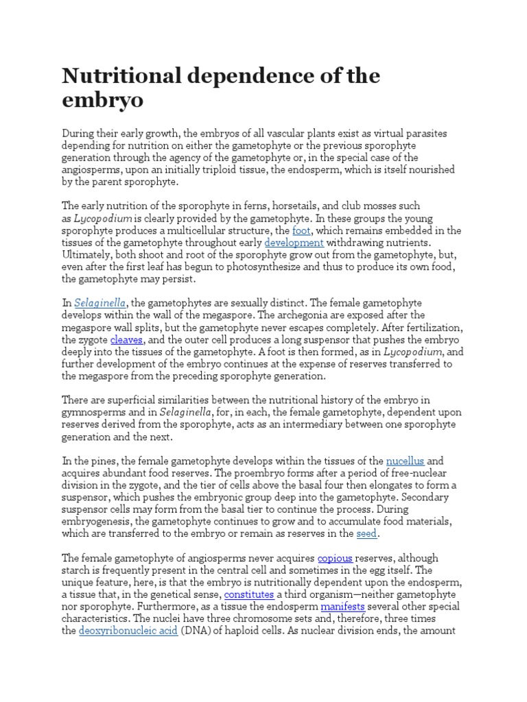 Nutritional Dependence of The Embryo | PDF | Embryo | Seed