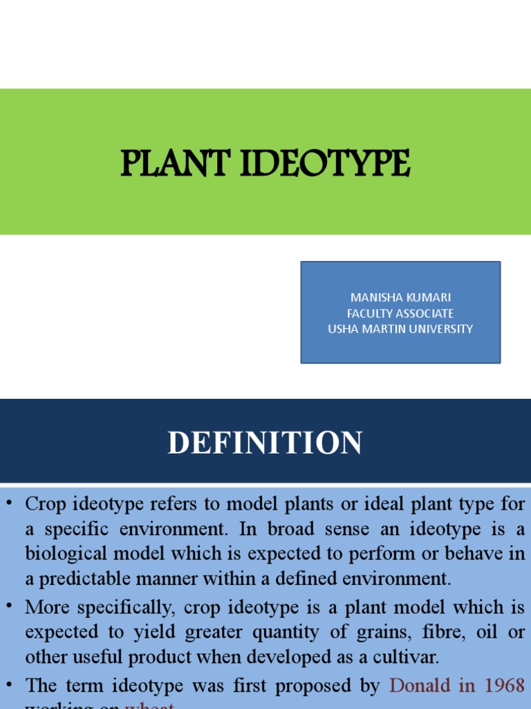Crop Ideotype | PDF | Agriculture | Wheat