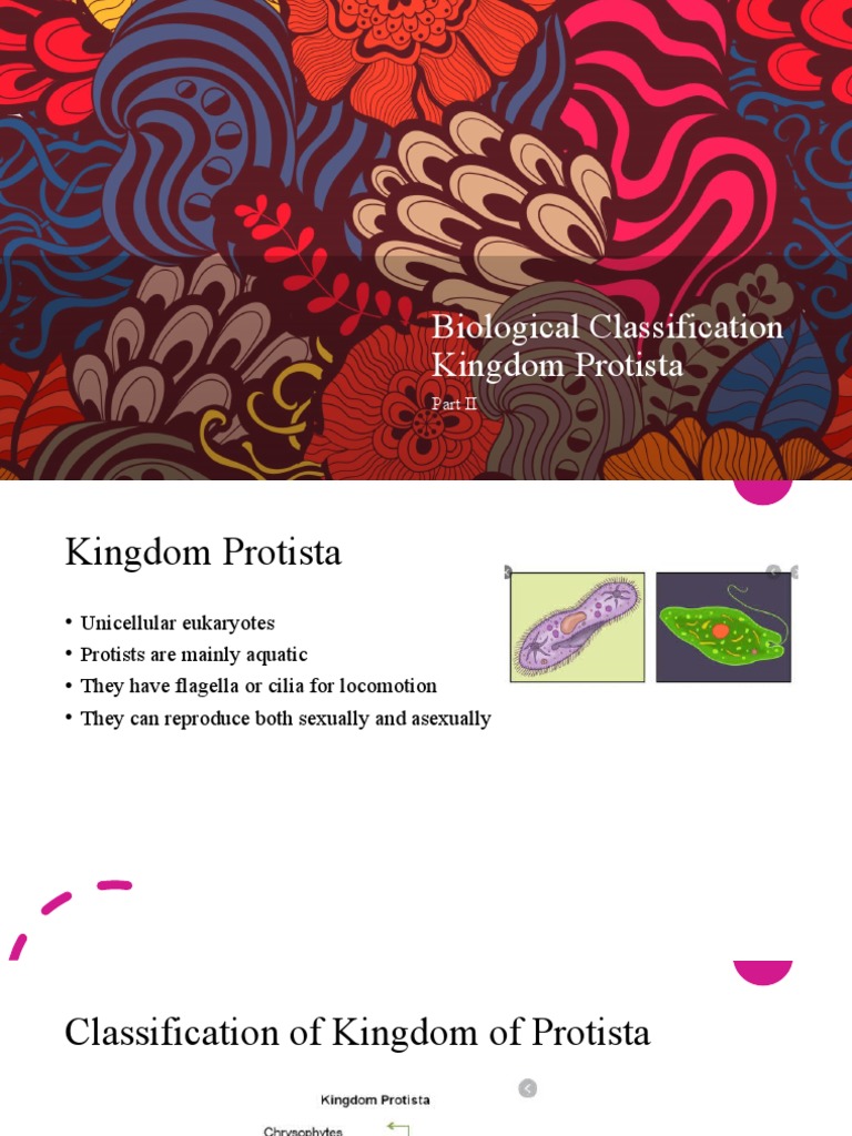 Biological Classification II | PDF | Protozoa | Eukaryotes