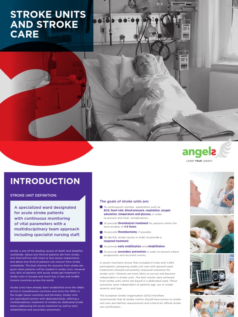 Stroke Unit Care and Implementation Guide | PDF | Stroke | Physical Therapy