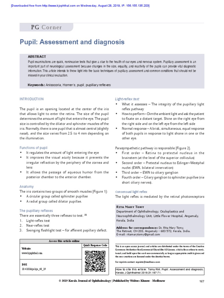 Pupil: Assessment and Diagnosis: Corner | PDF | Visual System | Eye