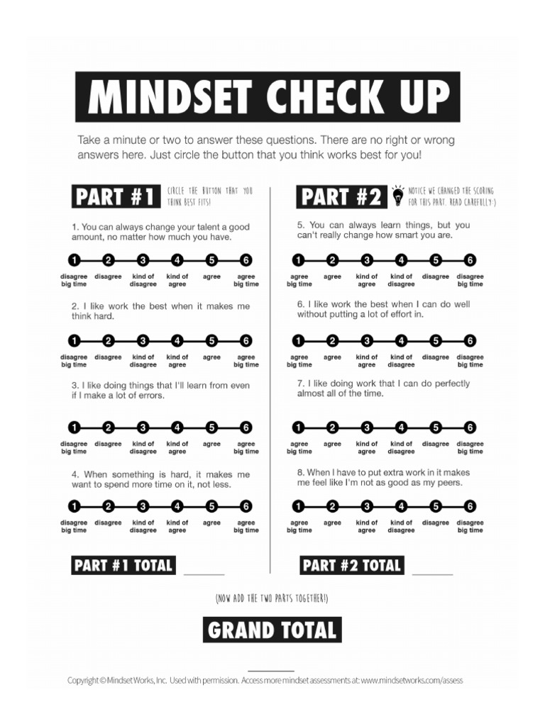 Mindset Assessment | PDF
