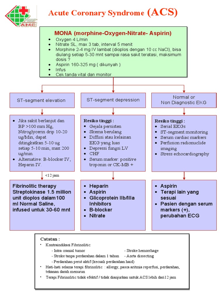 Acute Coronary Syndrome | PDF