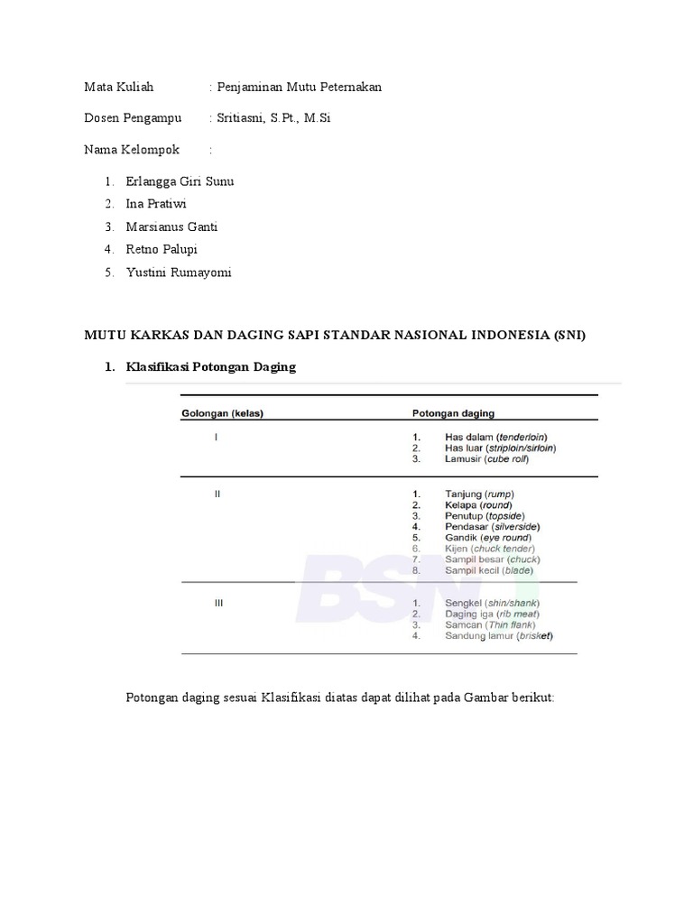 SNI Daging Sapi | PDF