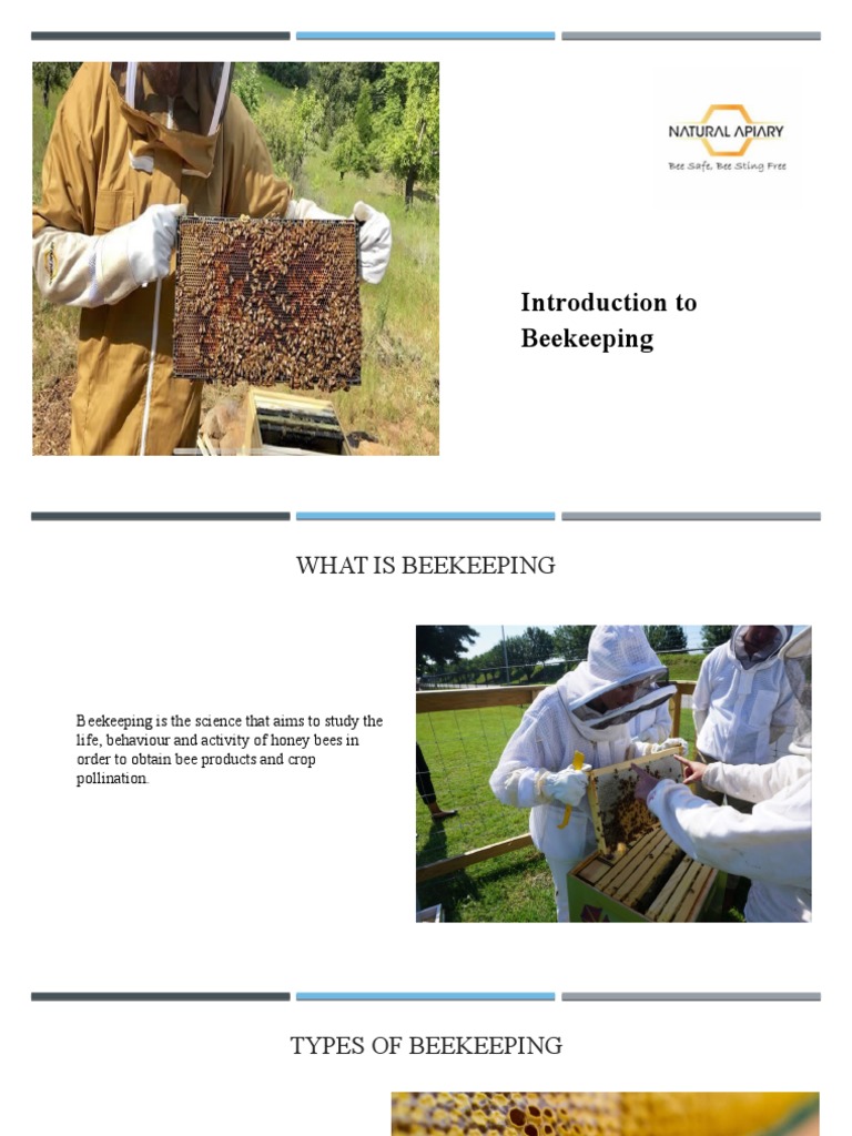 Introduction To Beekeeping | PDF | Wellness | Technology & Engineering