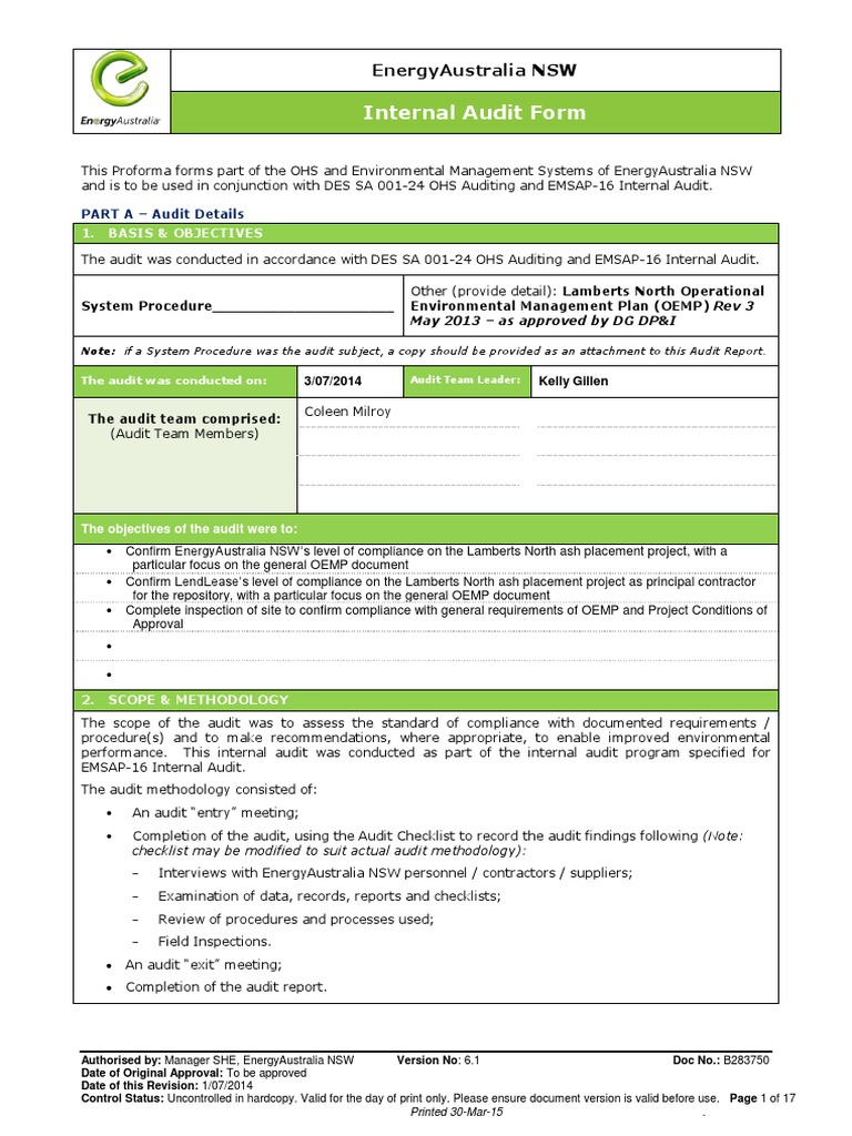 Internal Audit Form Sample | Download Free PDF | Audit | Internal Audit