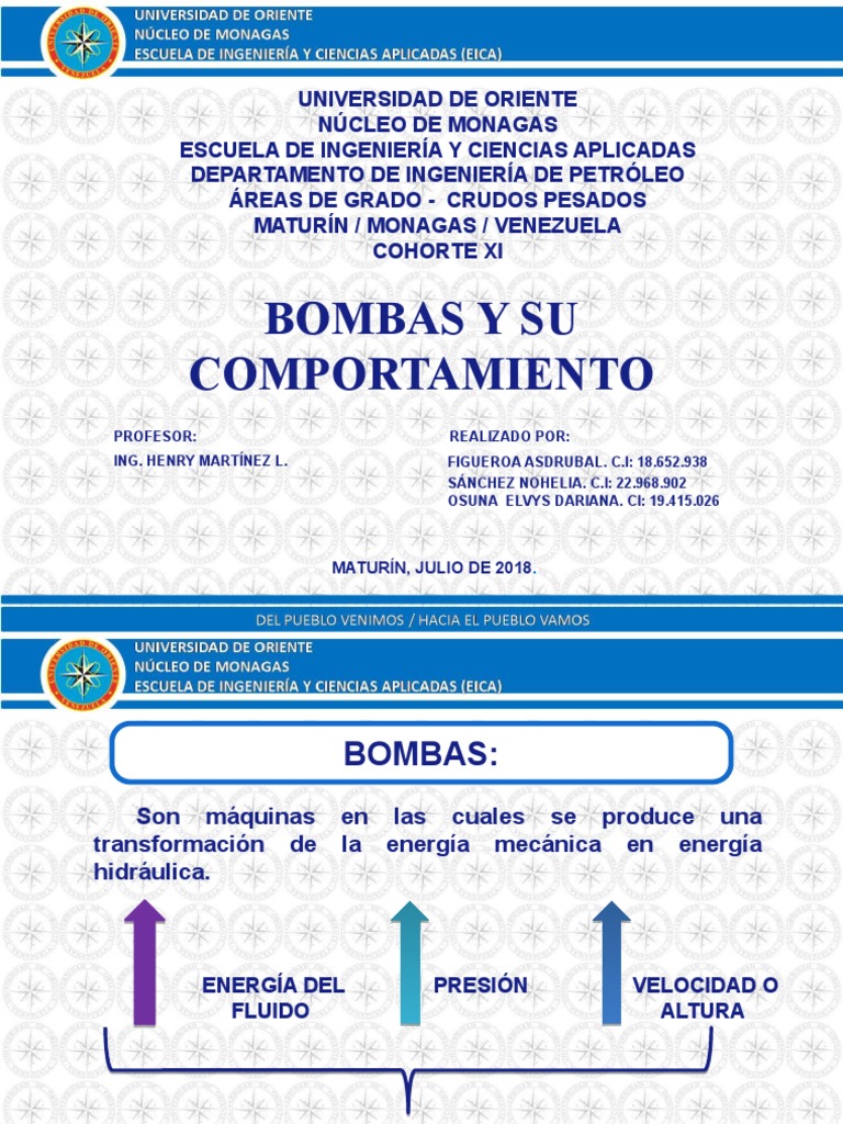 Bombas y Sus Comportamientos | PDF | Bomba | Viscosidad
