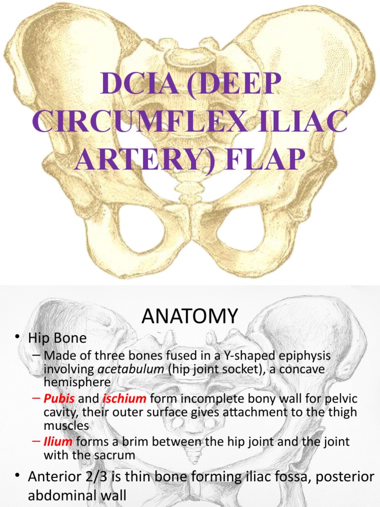 Dcia (Deep Circumflex Iliac Artery) Flap | PDF | Hip | Musculoskeletal ...