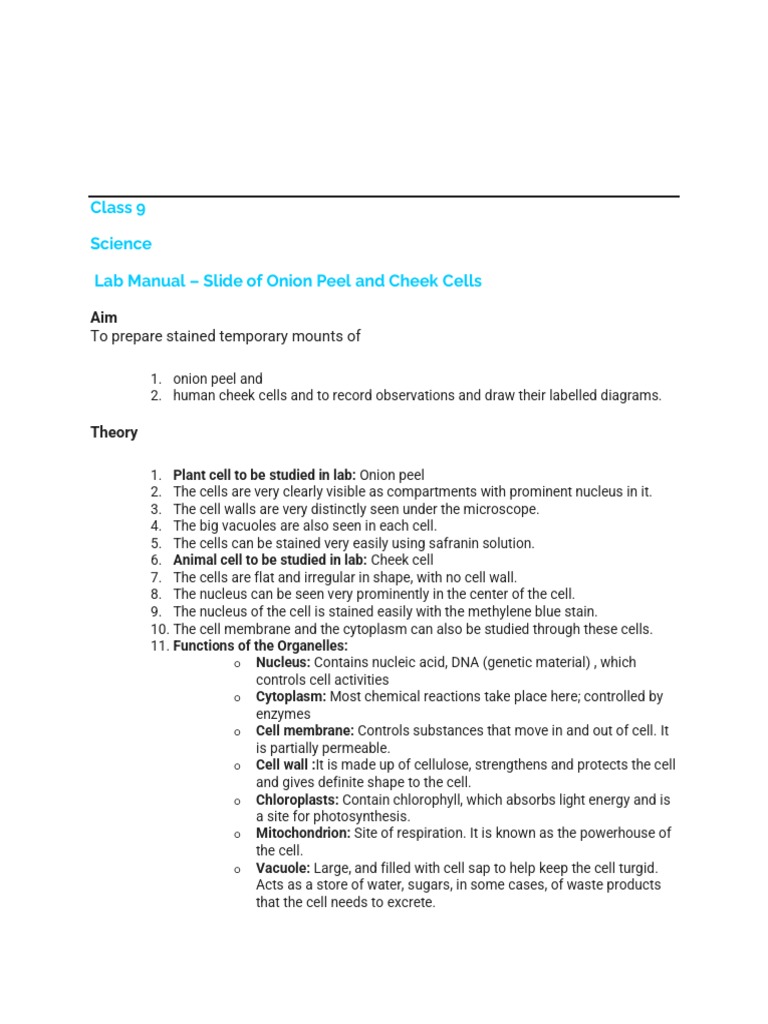 Class 9 Science Lab Manual - Slide of Onion Peel and Cheek Cells | PDF ...