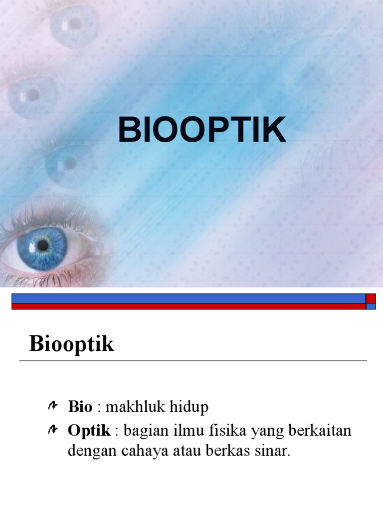 Bio Optik | PDF