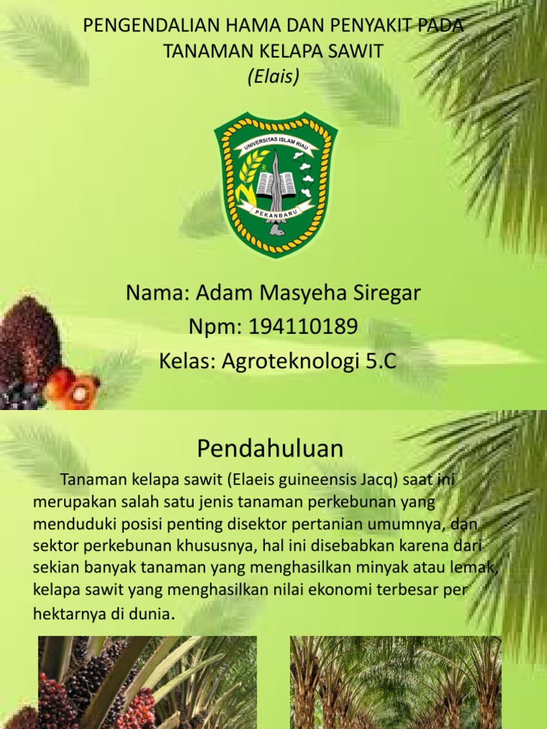 Hama Pada Sawit | PDF | Sains & Matematika