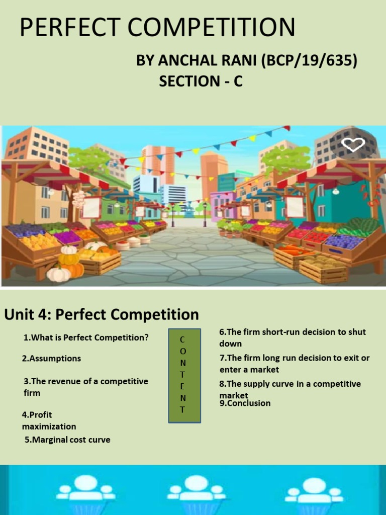 Perfect Competition | PDF | Perfect Competition | Supply (Economics)