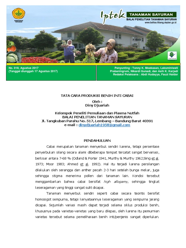 Produksi Benih Cabai | PDF