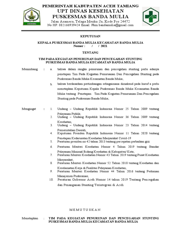 SK TIM STUNTING PKM Revisi | PDF