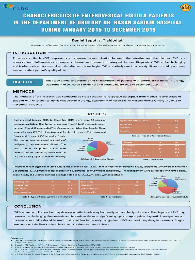 Enterovesical Fistula: Diagnosis and Management | PDF