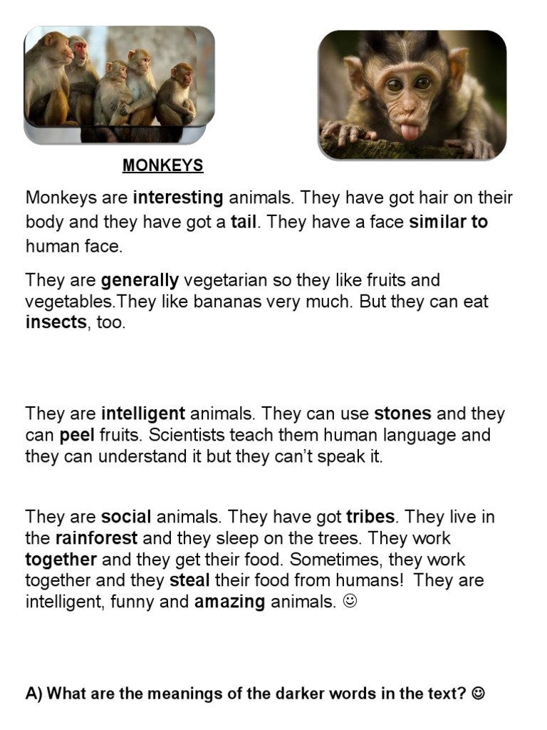 Reading Passage Monkeys Reading Comprehension Exercises 90628 | PDF