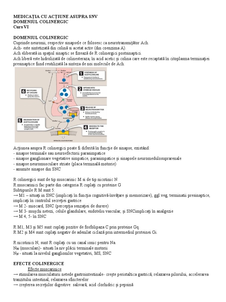 Curs 6 Farmaco | PDF