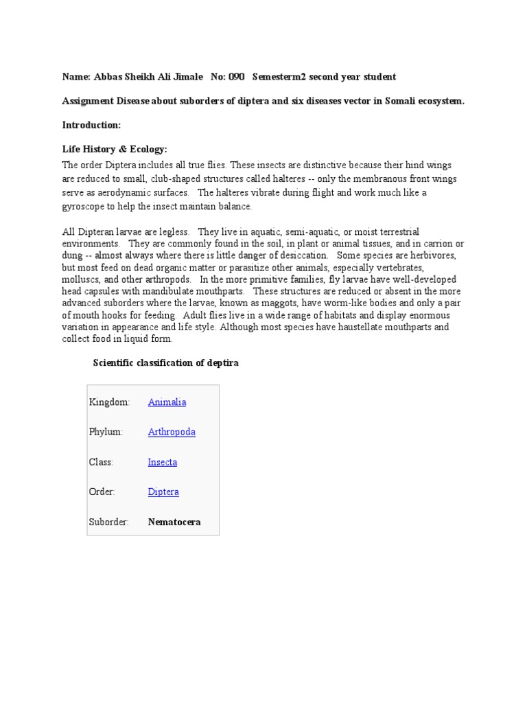 Diptera Classification and Disease Vectors | PDF | Fly | Insects