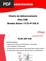 Planes API para Sellos Mecánicos | PDF | Bomba | Presión