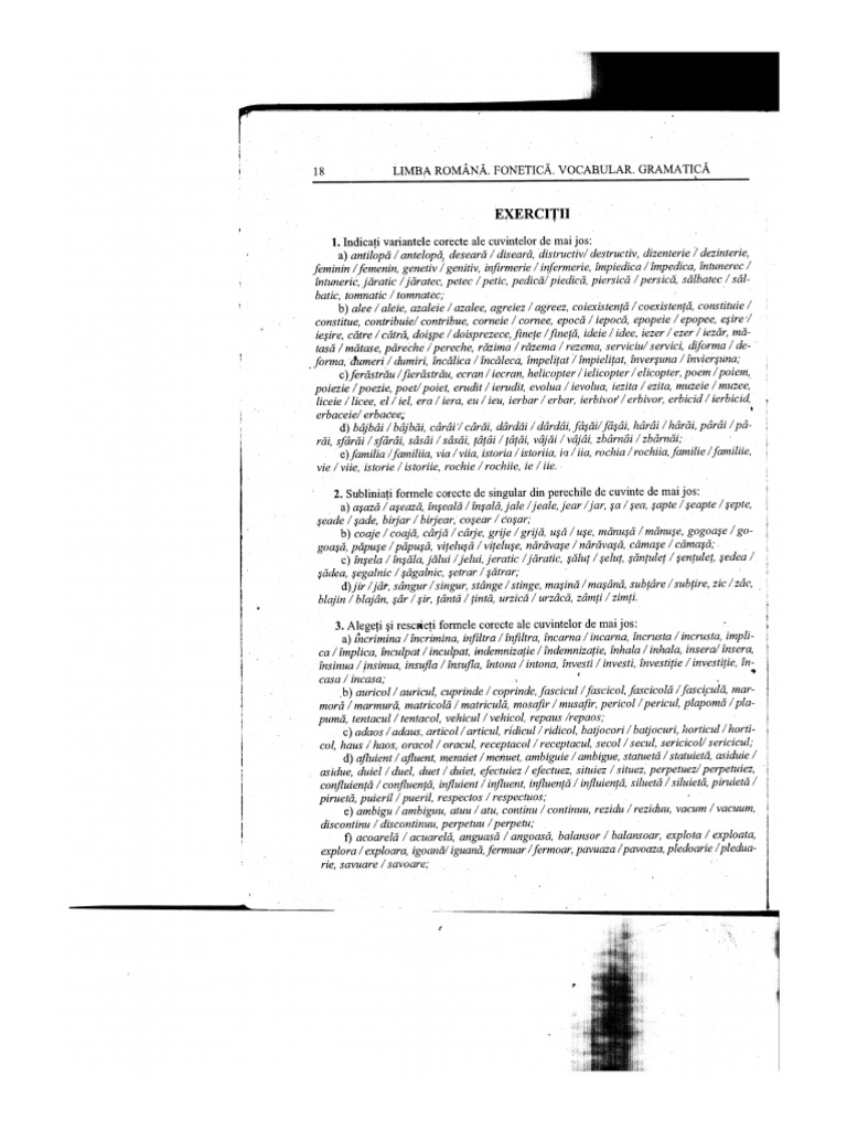 Set Exercitii Accentul | PDF