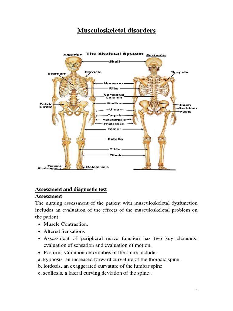Musculoskeletal Disorders: Assessment and Diagnostic Test Assessment ...