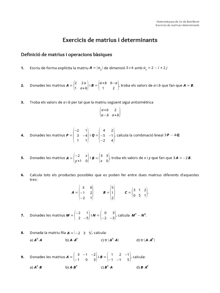 Exercicis de Matrius | PDF