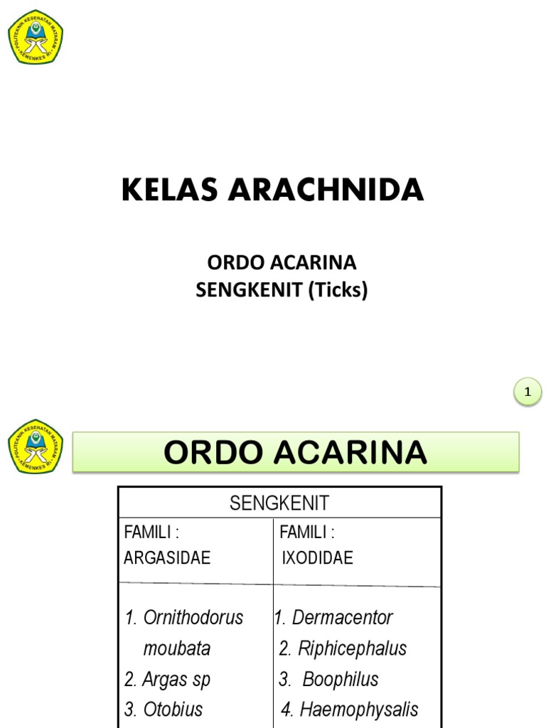 Panduan Lengkap Tentang Sengkenit | PDF