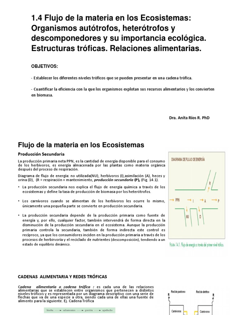 1.4 Flujo de Materia en Los Ecosistema | PDF | Red alimentaria | Biomasa (Ecología)