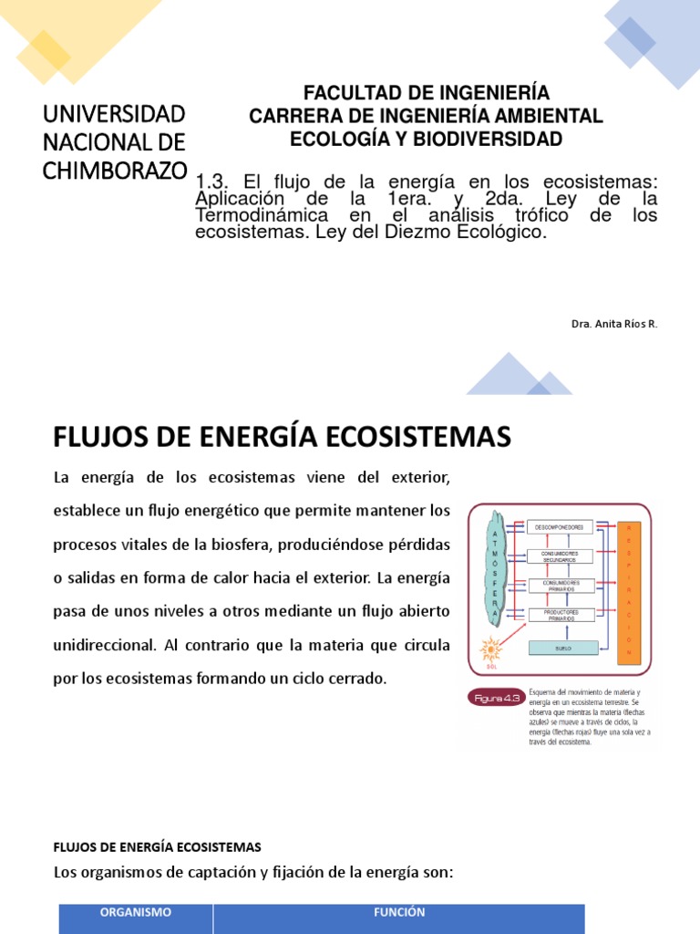 1.3 Flujo de Energía en El Ecosistema | PDF | Fotosíntesis | Producción ...
