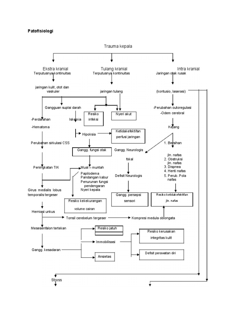 Pathway Cedera Kepala | PDF