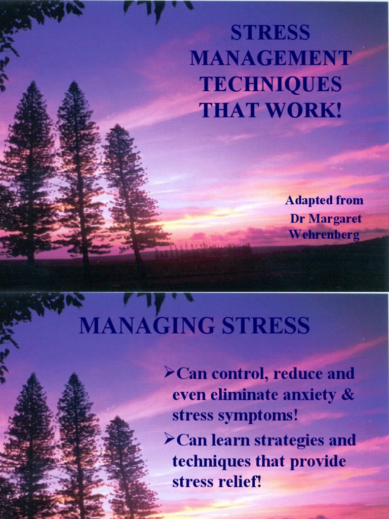 Stress Management Techniques That Work!: Adapted From DR Margaret ...