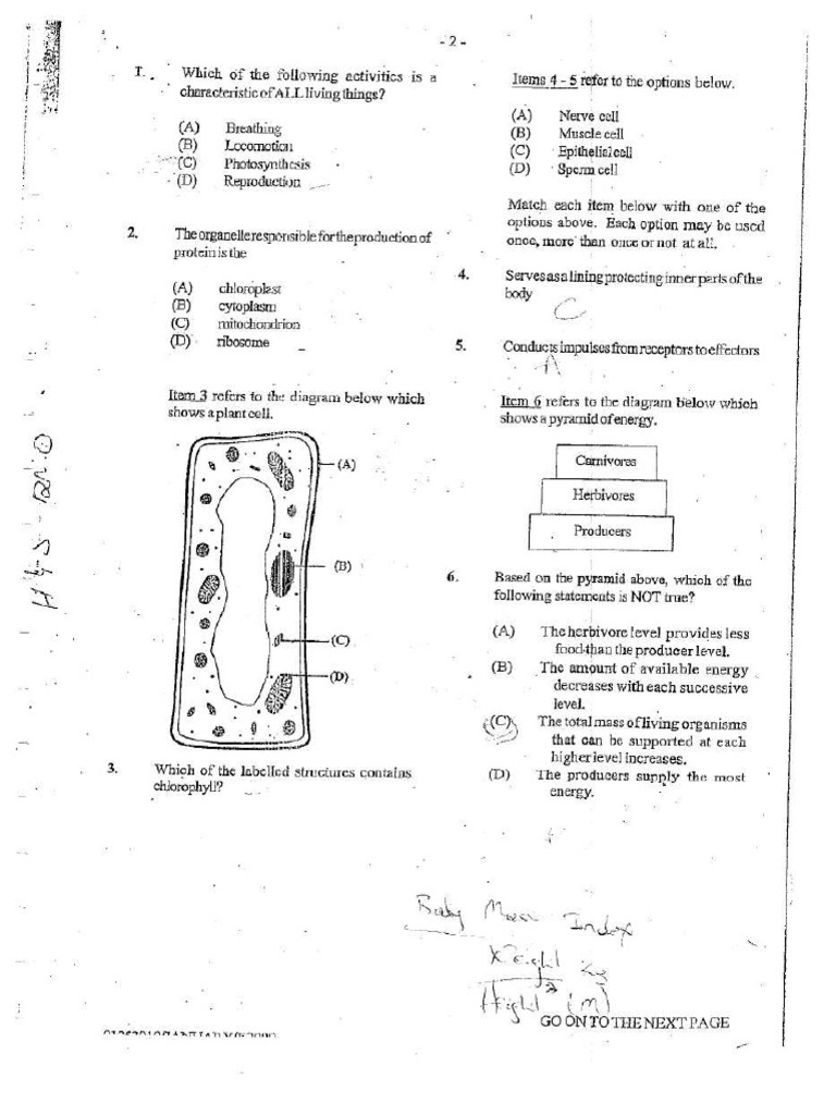 HSB 2009 Paper 1 | PDF