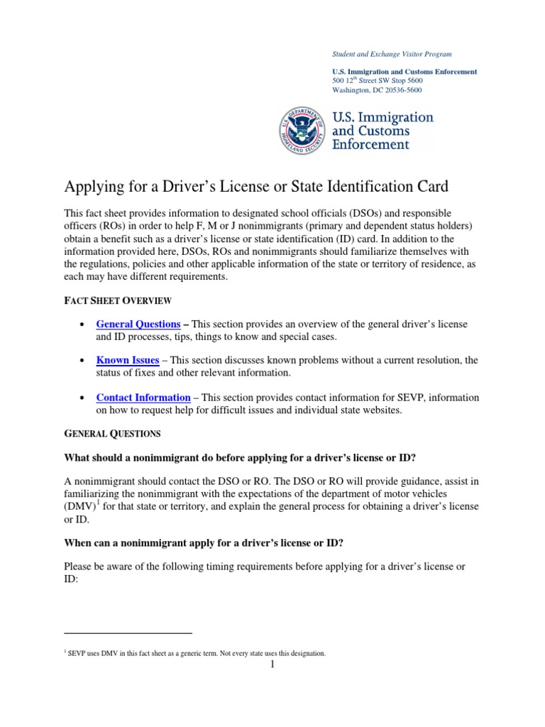 Driver's License Guide for Nonimmigrants | PDF | Social Security Number ...
