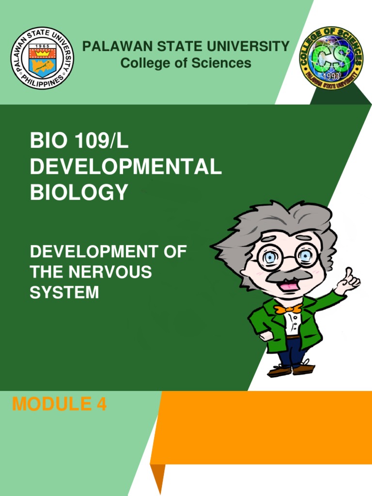 Bio 109 Module 4 | PDF | Central Nervous System | Nervous System