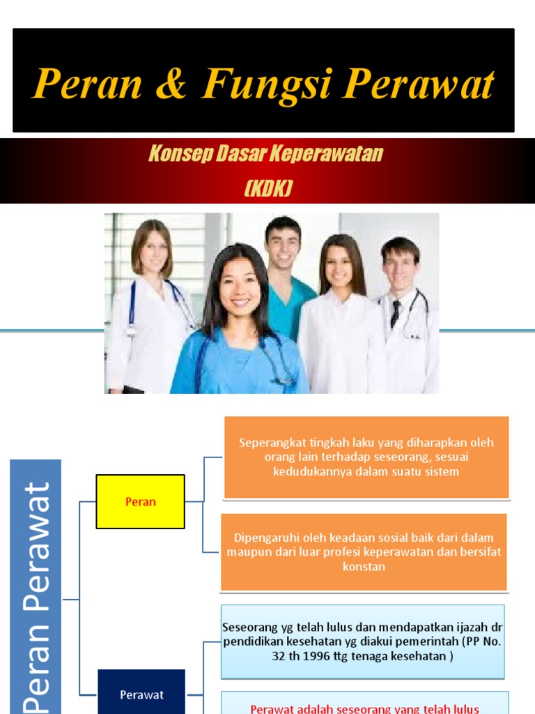 Peran Dan Fungsi Perawat | PDF