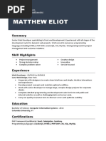 CV Template 0004 | PDF | Art