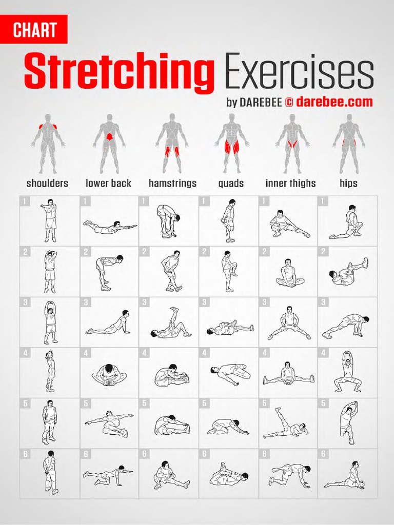 Stretching Exercises Chart | PDF