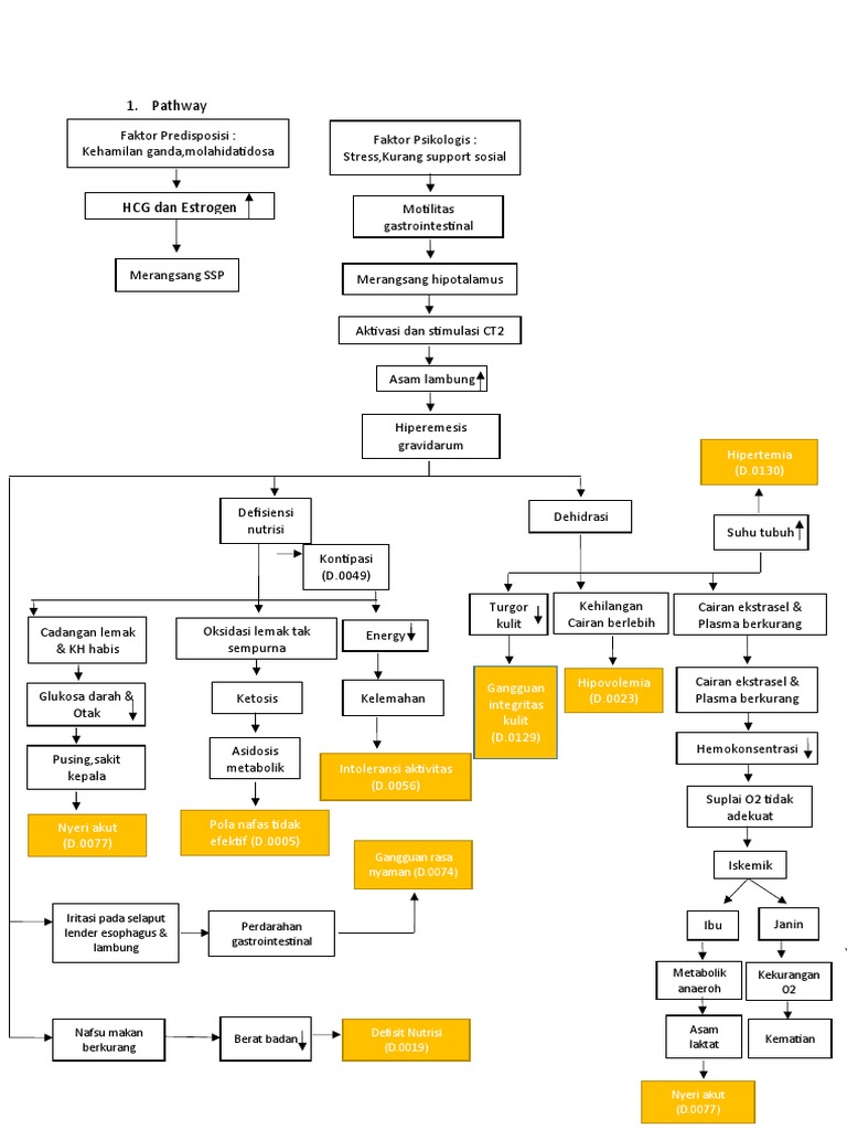 Pathway Hiperemesis Gravidarum | PDF