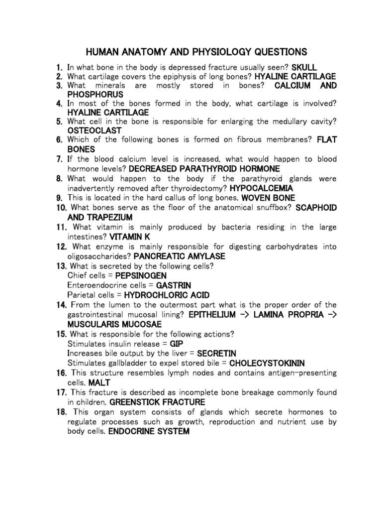 Human Anatomy and Physiology Questions | PDF | Gastrointestinal Tract ...