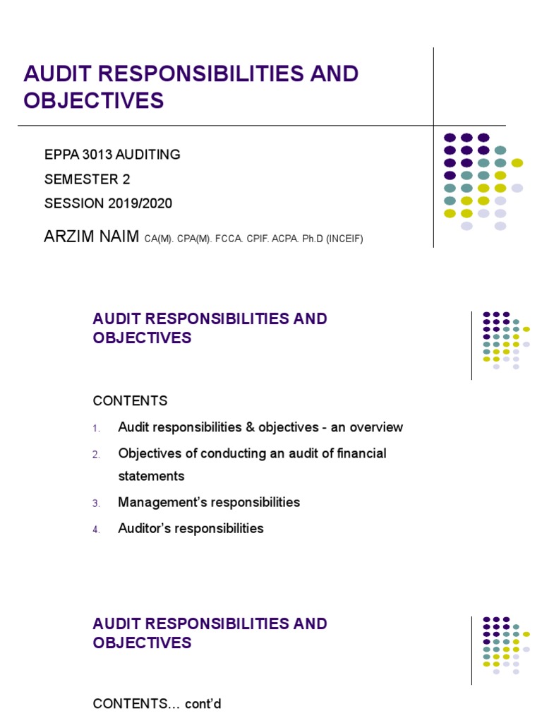 Audit Responsibilities and Objectives Overview | PDF | Audit ...