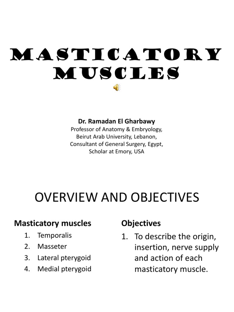 7 Masticatory Muscles 5 | PDF | Soft Tissue | Human Head And Neck