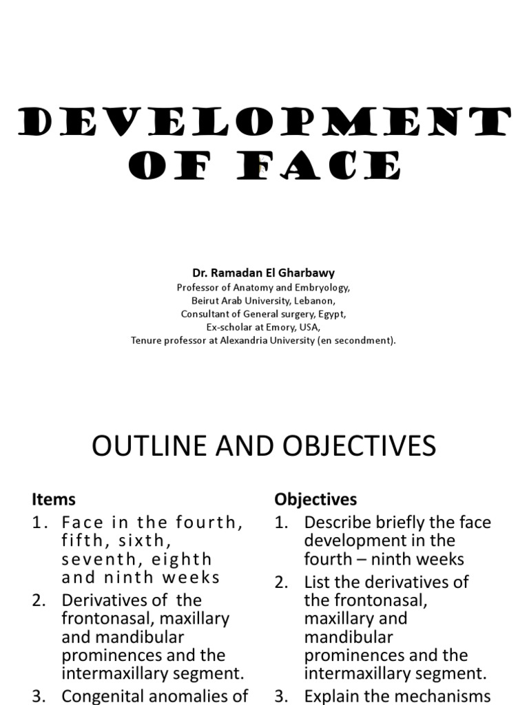 3 Development of Face | PDF | Human Nose | Lip