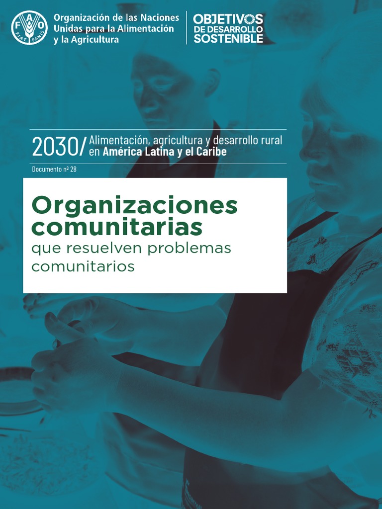 Organizaciones Que Resuelven Problemas Comunitarios | PDF | Creative ...