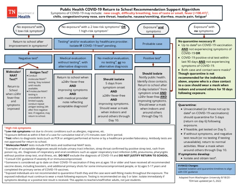 TDH Return To School Algorithm Updated 1-5-2021 | PDF | Animal Diseases ...