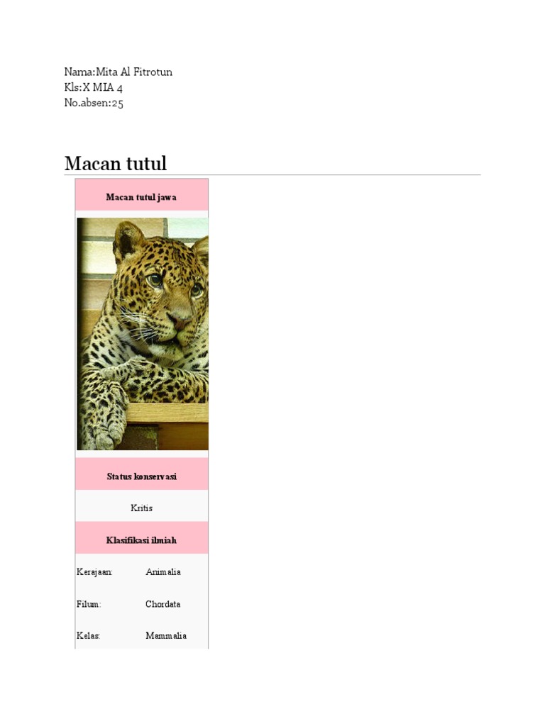 Macan Tutul | PDF