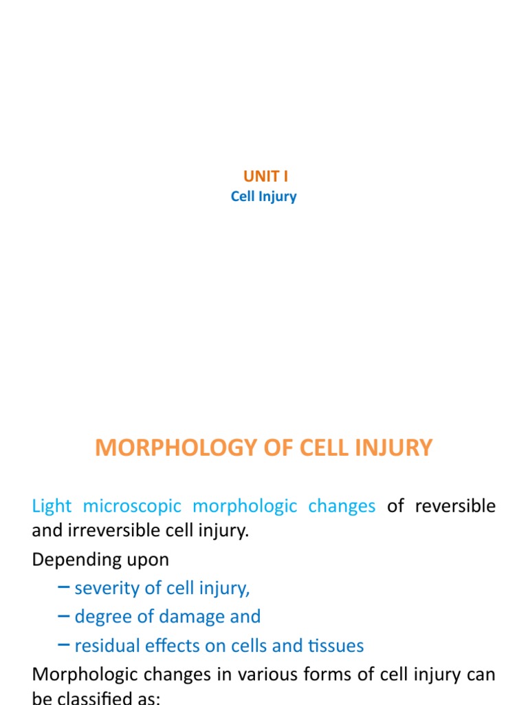 4 I Morpho - Reversible Cell Injury | PDF | Lysosome | Mucus