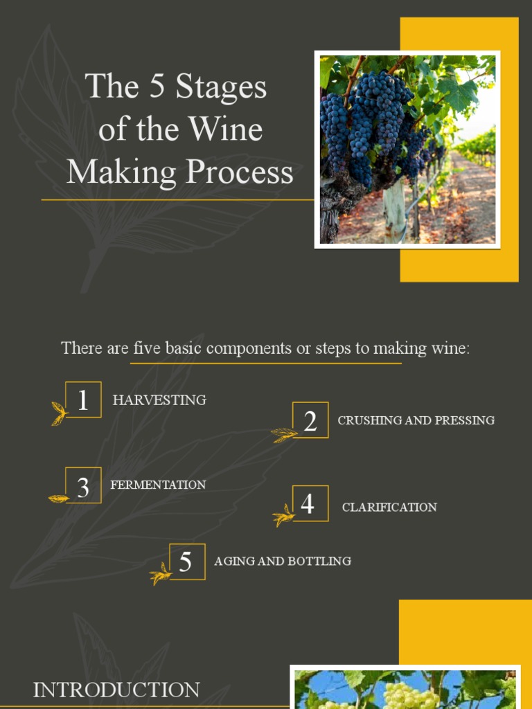 5 Stages of Wine Process | PDF | Winemaking | Fermentation In Winemaking
