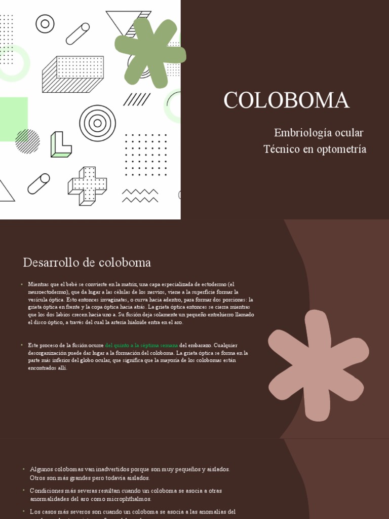 Coloboma 2 | PDF | Ojo humano | Visión